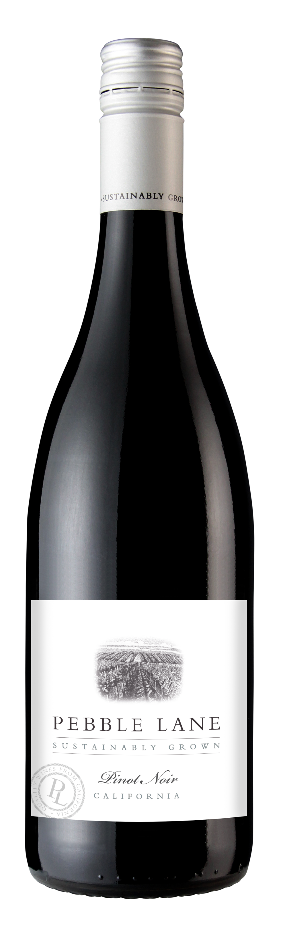 Pebble Lane NV Pinot Noir CA bottle shot | SFW Media